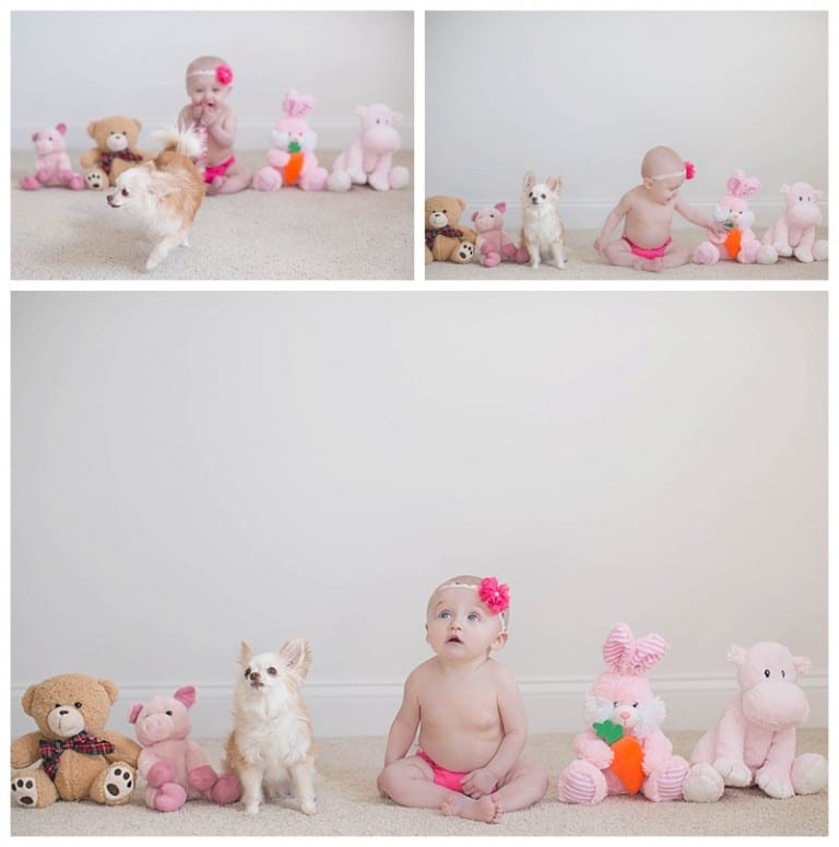Baby Sylvia Six Months Central IL by Ebby L Photography Photos